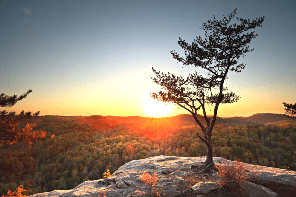Best Trails in the Red River Gorge | Great Vacations Charleston SC ...